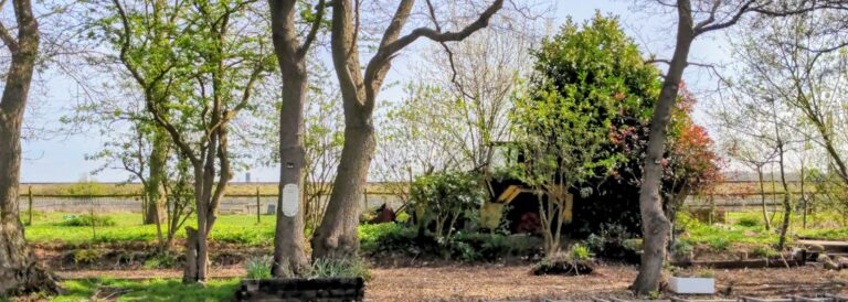 Procedures for critical readings; Formalism – Discipline Of English